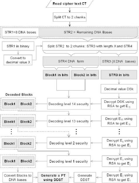 Figure 5 From Design And Analysis Of Dna Encryption And Decryption