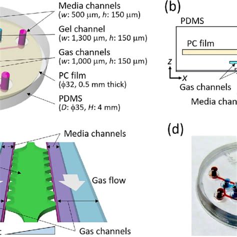 Design Of The Present Double Layer Microfluidic Device A An Overhead