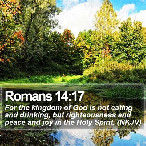 Romans 1417 Bible