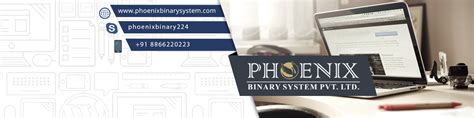 Phoenix Binary System Pvt Ltd Linkedin