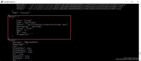 Docker入门到实践(四)docker容器数据卷与数据卷容器 掘金 Docker入门到实践(四)docker容器数据卷与数据卷容器 掘金