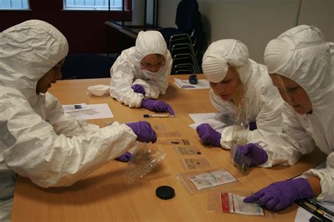 Discover The Exciting World Of CSI Forensic Science