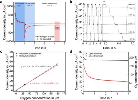 Oxygen Sensor Characteristics A Transient Current Responses At An Download Scientific
