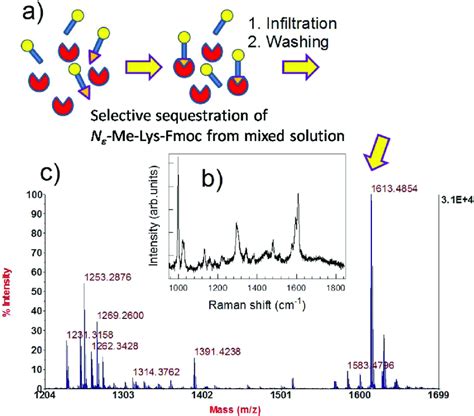 A Scheme Of The Molecular Recognition Experiments Using Tiiii Download Scientific Diagram