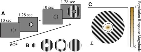 A Schematic Time Line Of Stimulus Sequence Grating Stimuli Were