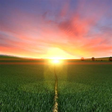 Common Misconceptions About Deed Polls Part Two Deedpoll