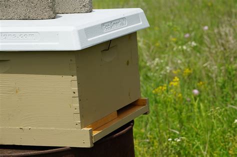 Resource Hive Experiment A Mattingly Artist Writer Holistic Living Guide