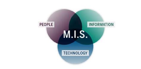 Management Information System Quiz Attempts 27690 Trivia And Questions