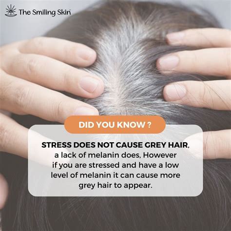 Separating Hair Care Facts From Fiction Achieve Your Best Hair