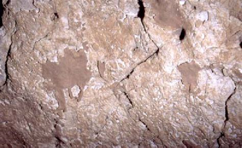 Single Tracks And Holes Of Different Generations On The Wall Of Jama Ii Download Scientific