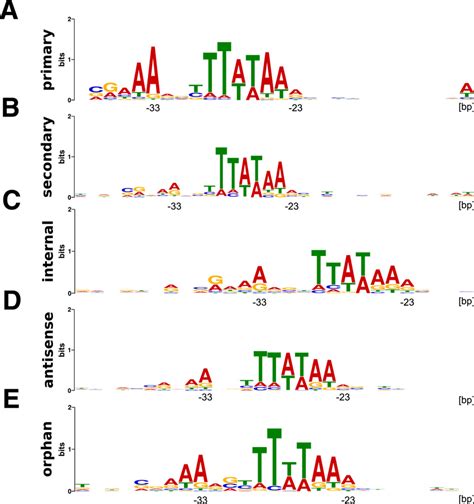 Consensus Promoter Motifs Each Frame Shows The Best Ranking Sequence Download Scientific