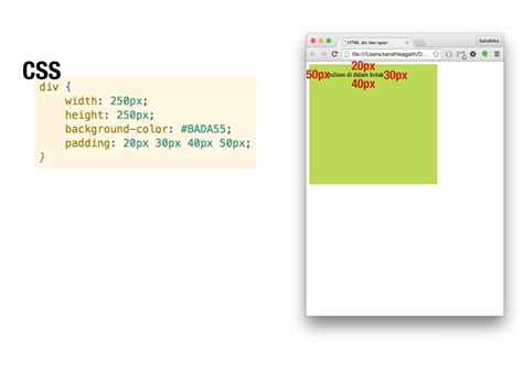 Css Layouting 3 Box Model Pdf