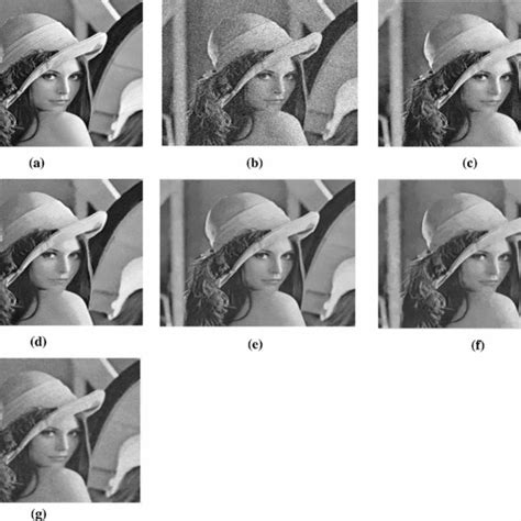 Comparison Of Different Denoising Methods Visual Results When Noise
