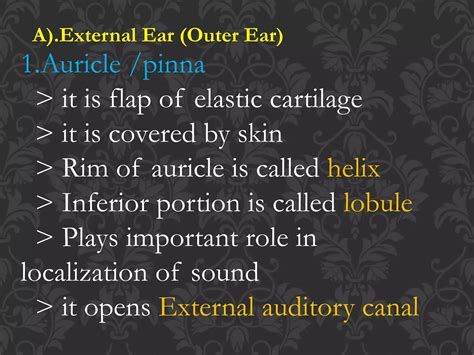 Ear Pptpptx