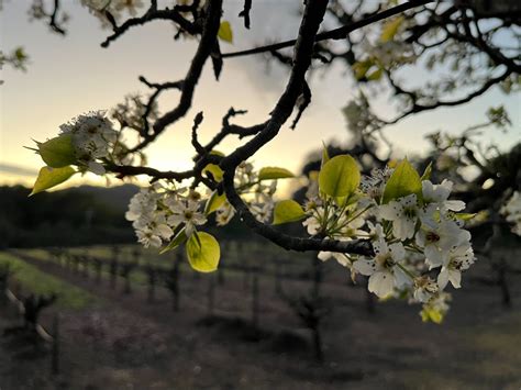Leaving Work Break In The River 3 10 23 6 26pm Colin Macphail