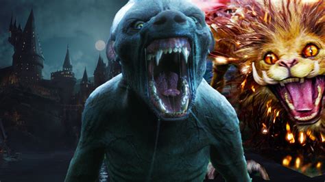 Who Is Mattheo Riddle And Is He In Harry Potter Pottertalk Net