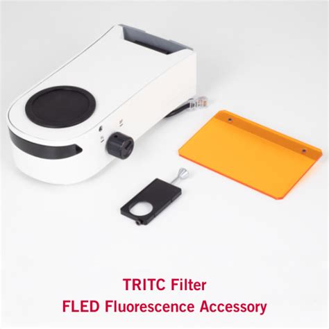 Motic Panthera C2 With Tritc Filter Fluorescence Bundle Microscope Microscope Marketplace