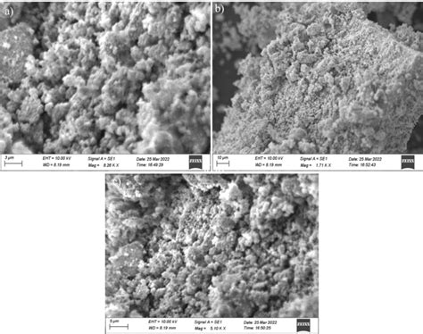 SEM Images Of Synthesized ZnONPs Showing Morphology And Resolutions At Download Scientific