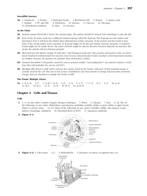 anatomy and physiology coloring cells answers pdf