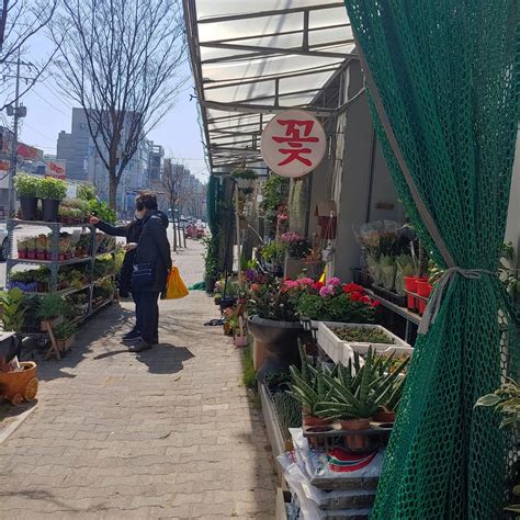 중앙꽃화원 경기도 수원시 권선구 권선동 꽃집 꽃배달 당근 동네 업체