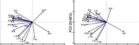 Principal Component Analysis Pca Biplot In A High N And B Low N Download Scientific