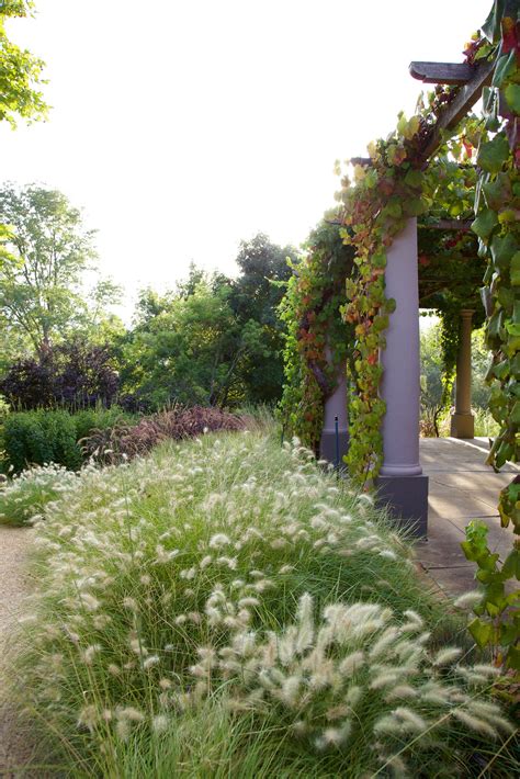 Grass Garden Dds Projects