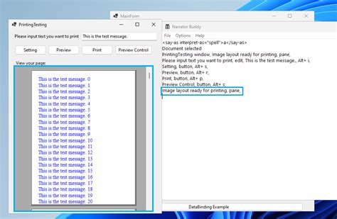 A11ynet Corewinformsprintingtestingprintingtestingscreenreader