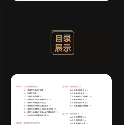 【2025新版】赢家交易簿 一张k线图看懂全球市场李志尚力作 蜡烛图技术分析 全书彩图标注买卖信号 A股期货外汇适用 42节视频课 淘宝