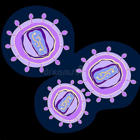 Immunodeficiency Vector Stock Illustrations 976 Immunodeficiency