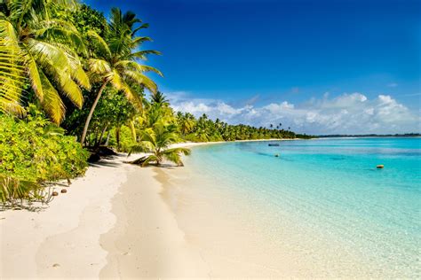 Cocos Keeling Islands Add On Bird And Nature Week 2023 Australian Geographic