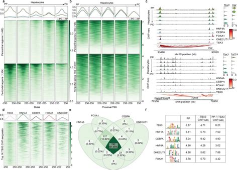 Single Cell Spatial Multi Omics And Deep Learning Dissect Enhancer