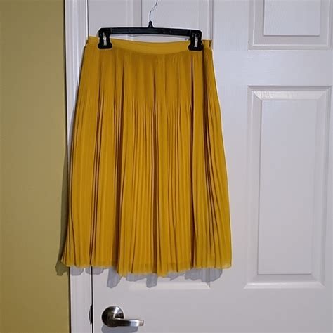 Zara Skirts Zara Midi Sheer Pleated Skirt Poshmark