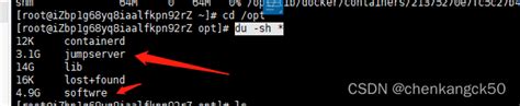 生产环境 dev vda1文件满了导致redis无法写入问题分析 以及df h解析 csdn博客