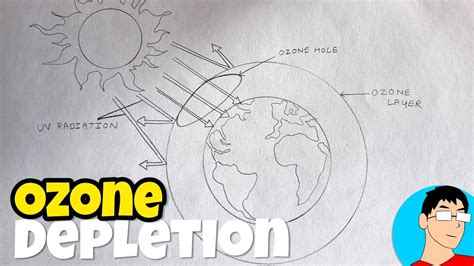 Ozone Layer Diagram