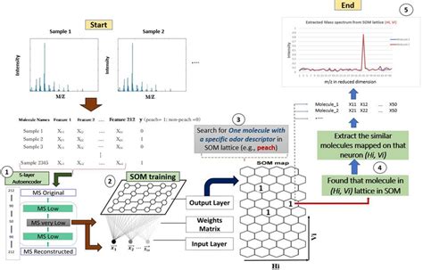 Method To Extract Sensing Data Mass Spectrum For A Desired Scent Download Scientific Diagram