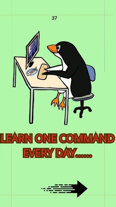 Learn One Command Every Day 37 Linuxtutorial
