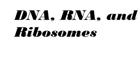 Dna Rna And Ribosomes Explanation In Act Science Section With Q And A Sat Act