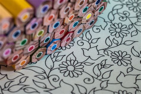 무료 이미지 창조적 인 무늬 페인트 그림 직물 미술 성인 심사 숙고 디자인 펜 진정 색깔이있는 연필