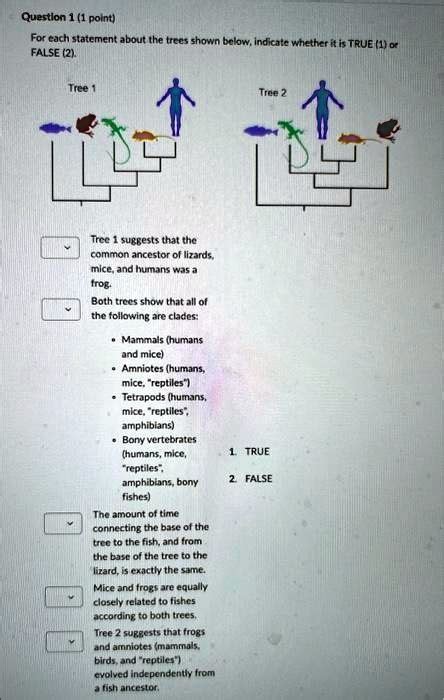 Question Point For Each Statement About The Trees Shown Below Indicate Whether It Is True