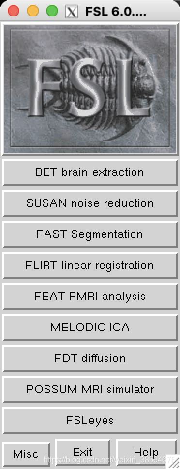 Fsl线性配准实践核磁共振影像数据处理fsl配准4d数据 Csdn博客