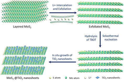 Schematic Of The Synthesis Of Hierarchical Mos2 Tio2 Nanosheets Download Scientific Diagram