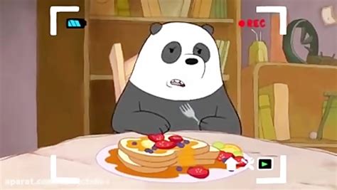 خرس های کله فندقی