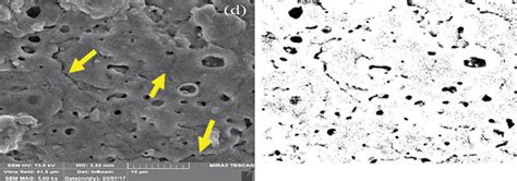 The Sem Micrographs Of A B B B1 C B2 And D B3 Samples Download Scientific Diagram
