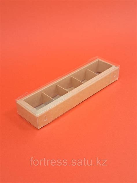 Коробка с прозрачной крышкой размер внешний размер 22 5 6 3 внутренний размер 20 4 3 см