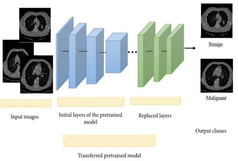 2 Transfer Learning Process Using Pre Trained Models