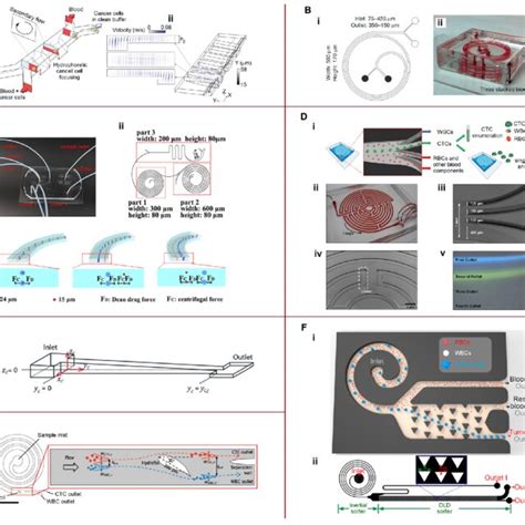 Microfluidic Systems For Passive Separation Of Cells Using A Download Scientific Diagram