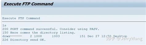 在 Sap Abap 系统里访问 Ftp 服务器 知乎