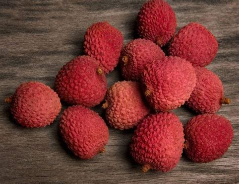 Lychee Tree Emperor Dwarf Variety Air Layered