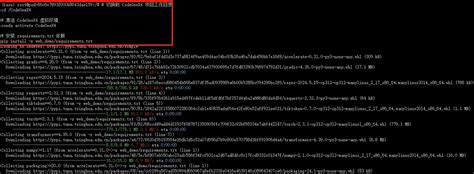 Codegeex4模型部署教程 哔哩哔哩