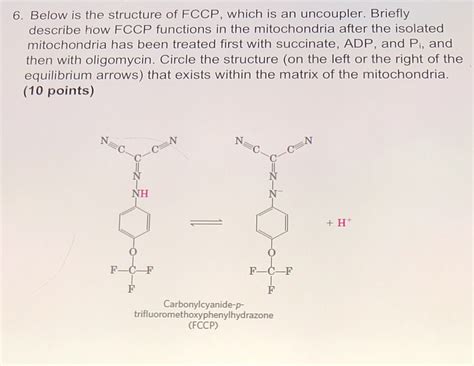 [solved] 6 Below Is The Structure Of Fccp Which Is An Uncoupler Briefly Course Hero